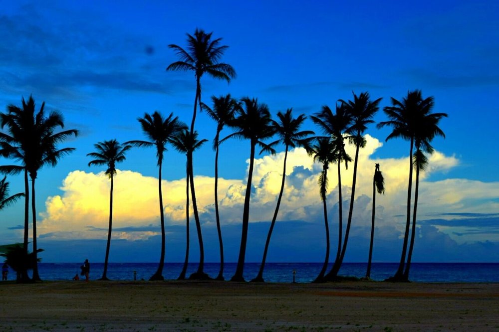 20 Things to Do in Dominican Republic: Your Ultimate Caribbean Adventure Guide - Do Find GO